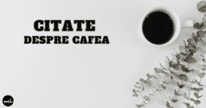 100+ citate despre cafea care sa-ți facă ziua mai frumoasă - Synopy