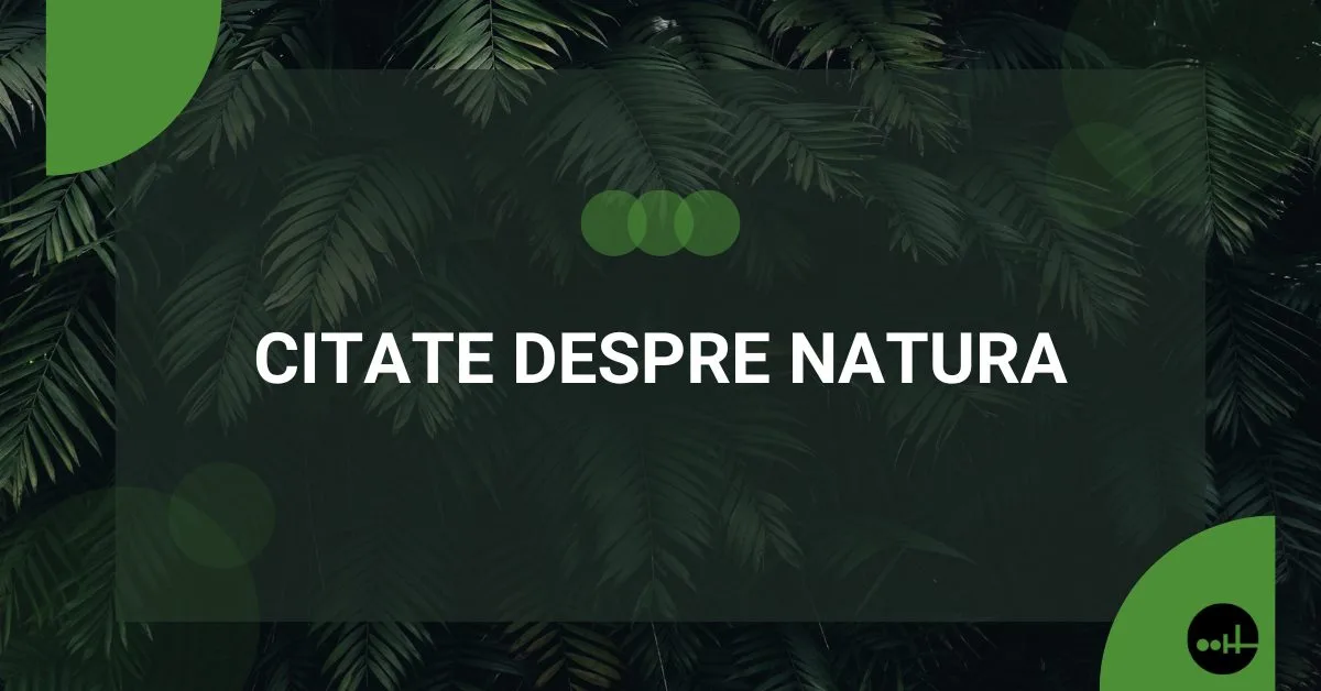 Citate despre natură - Synopy